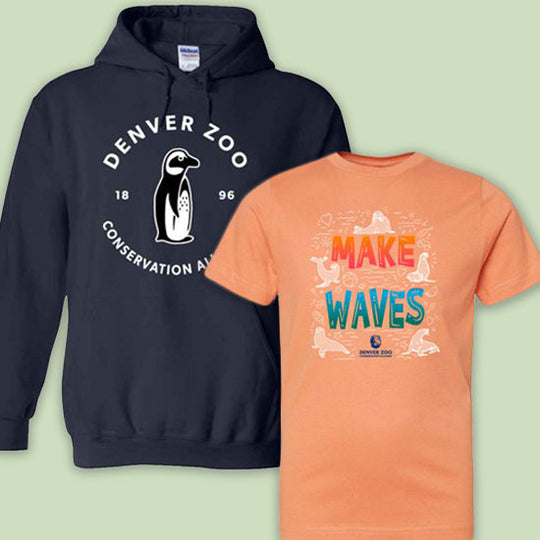 DZCA Online Store