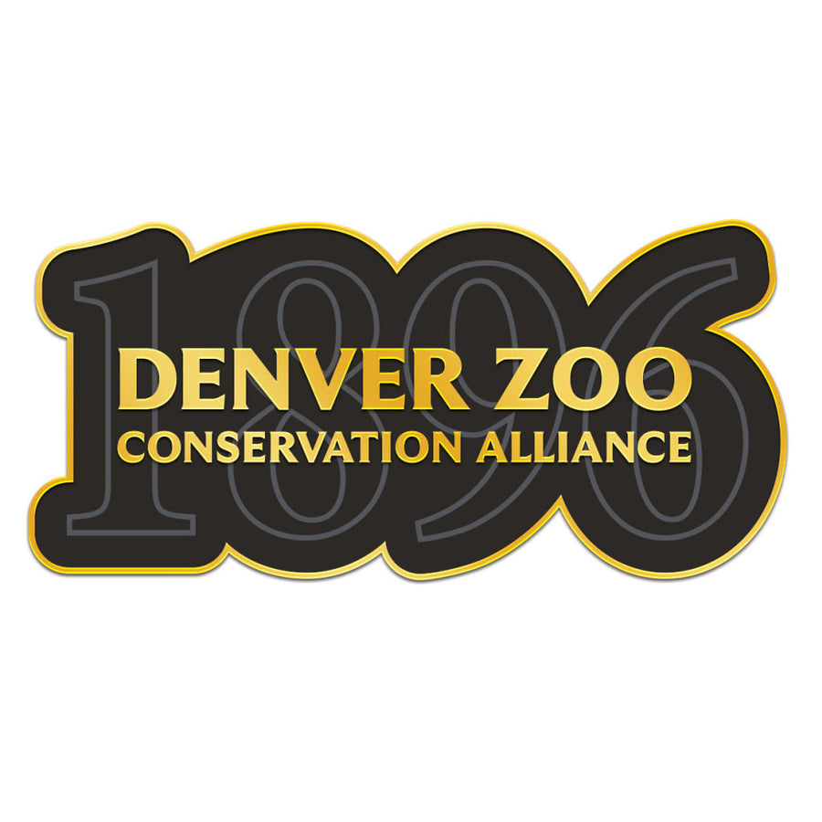 DZCA Online Store